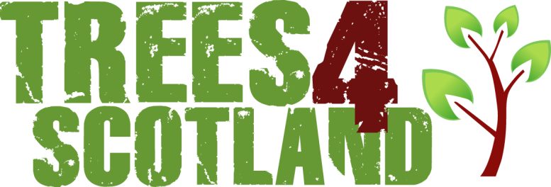 Webhelp Announces Collaboration with Trees4Scotland